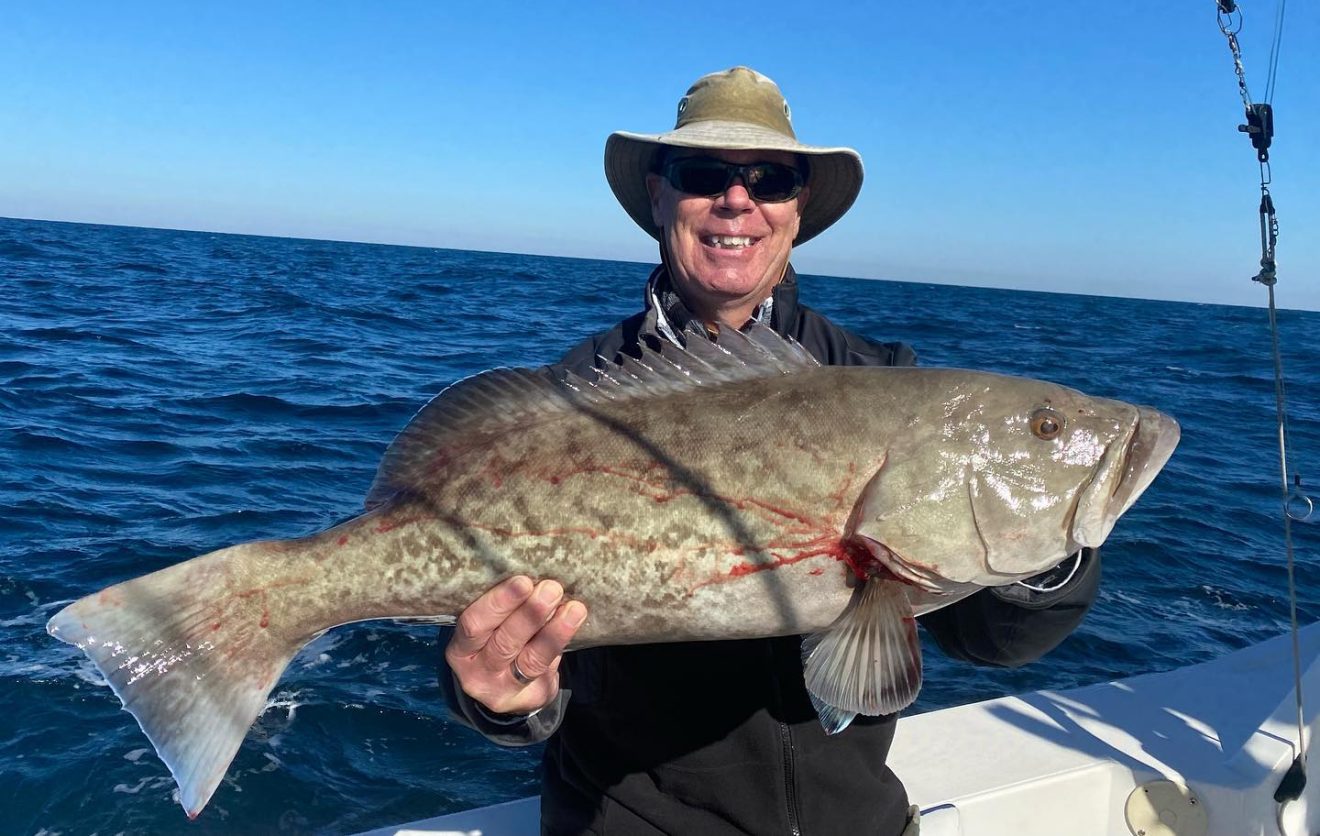 Gag Grouper Fishing - Fin Seekers